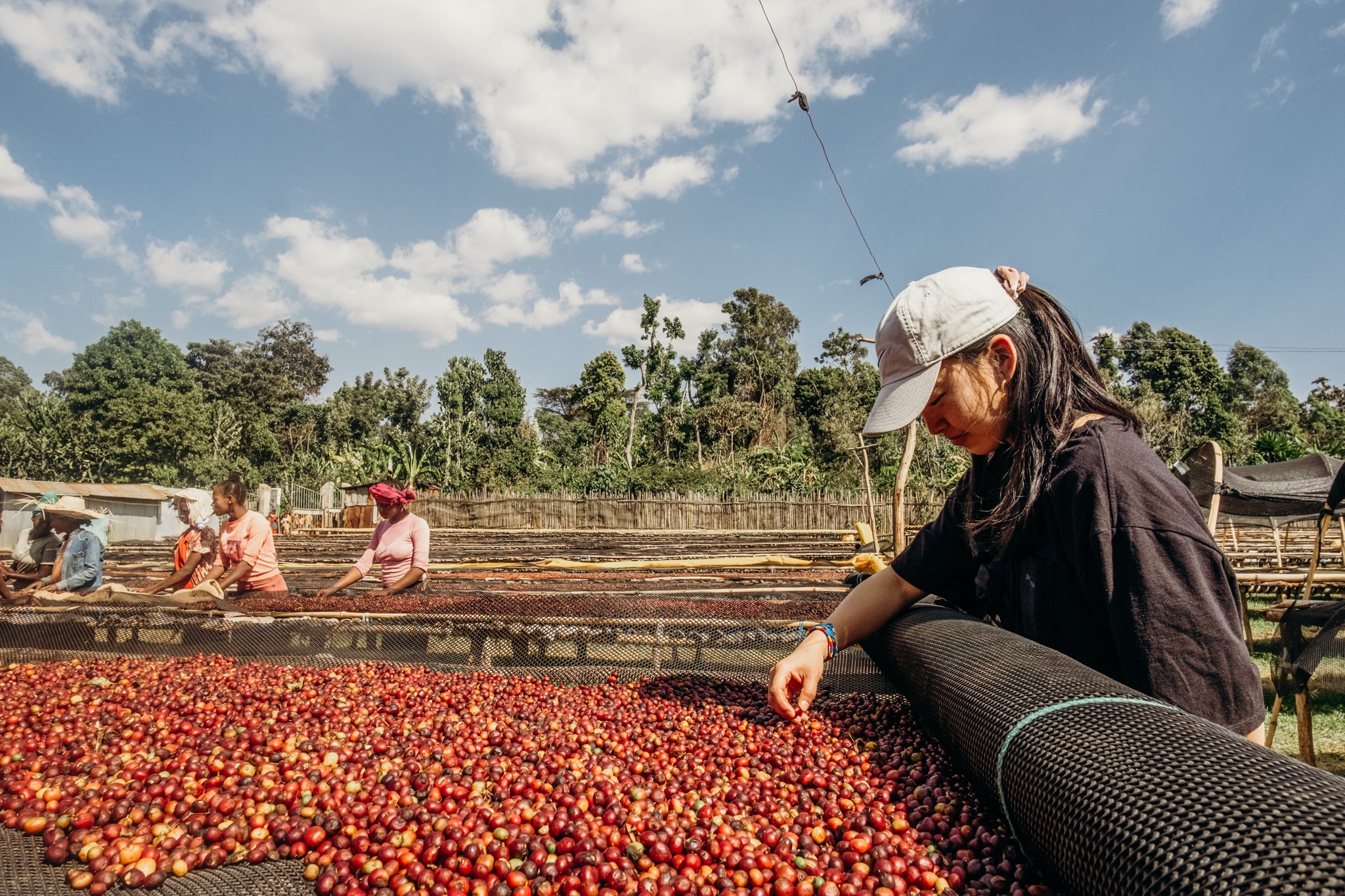 CQI - Q Processing Level 2: Professional | Archers Coffee Academy