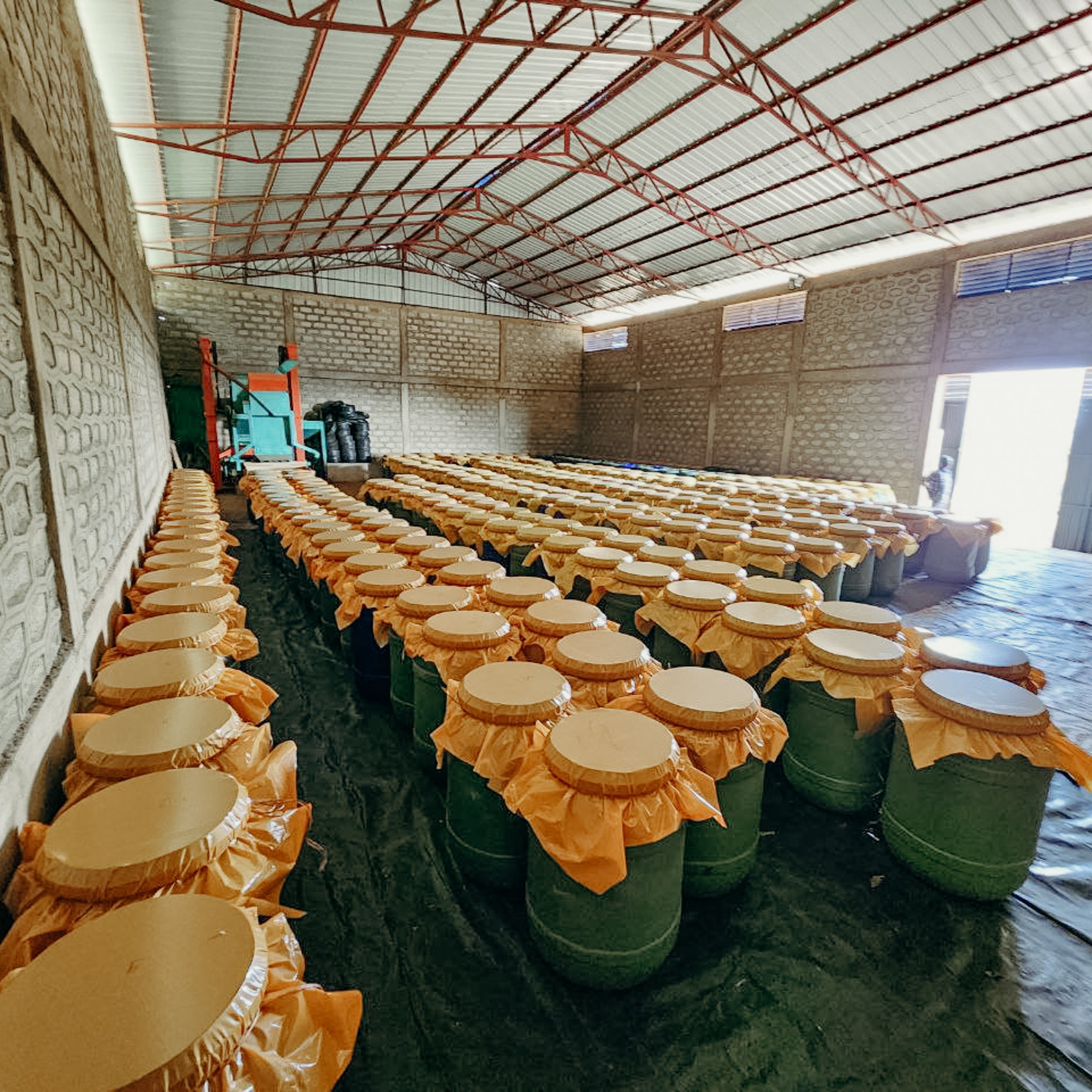 Ethiopia - EDN Ethiopian Coffee – Archers Coffee