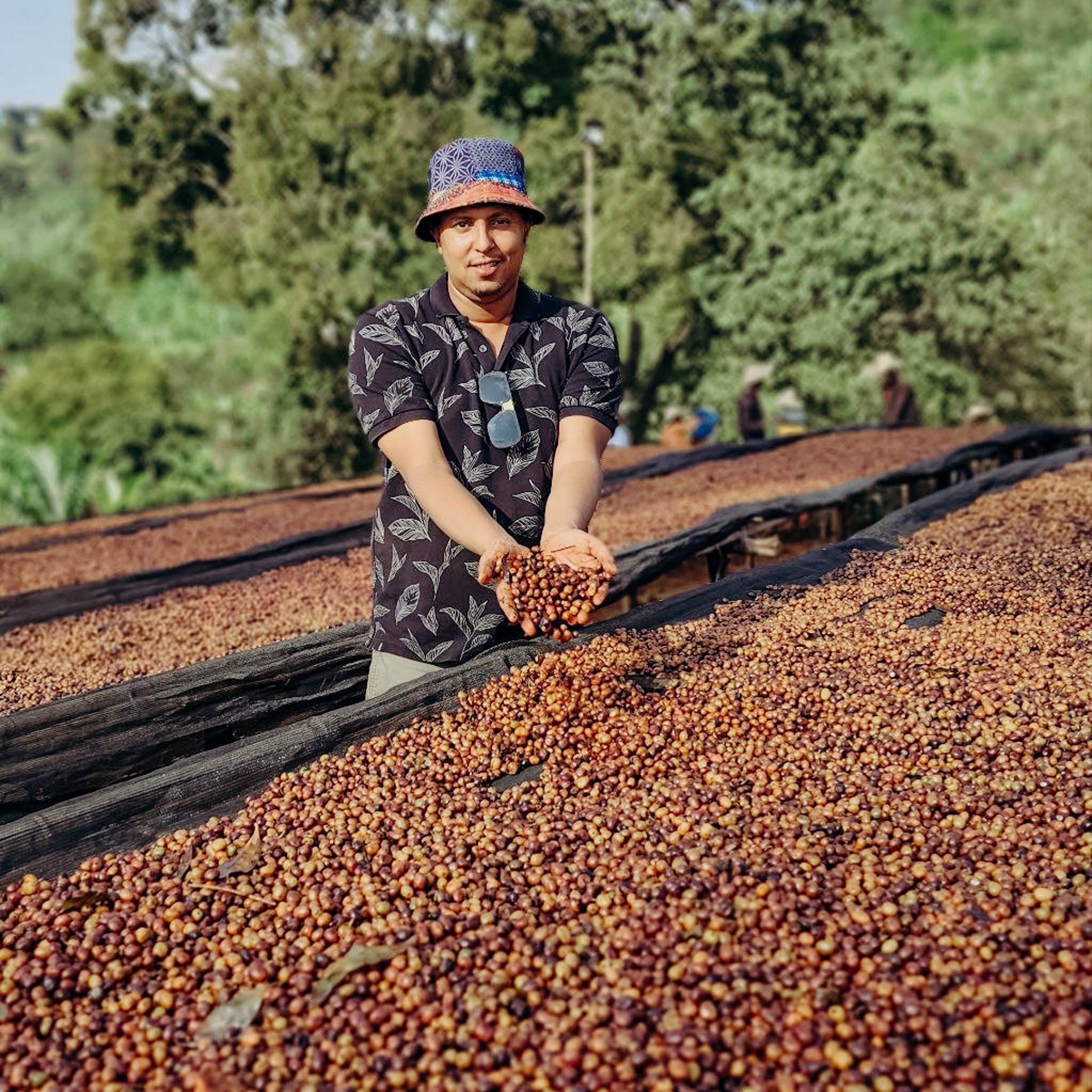 Ethiopia - EDN Ethiopian Coffee – Archers Coffee