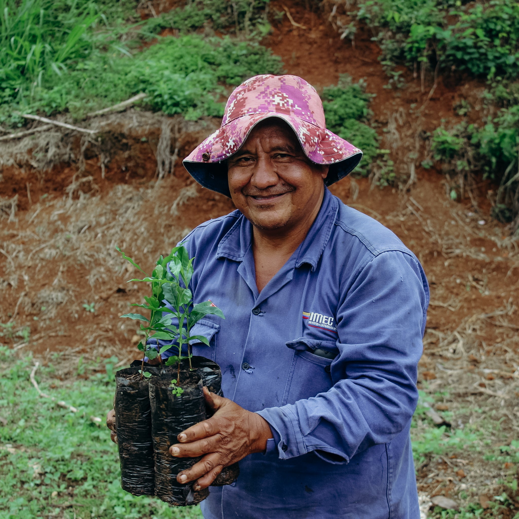 Inmaculada Coffee Farms Release | Archers Coffee