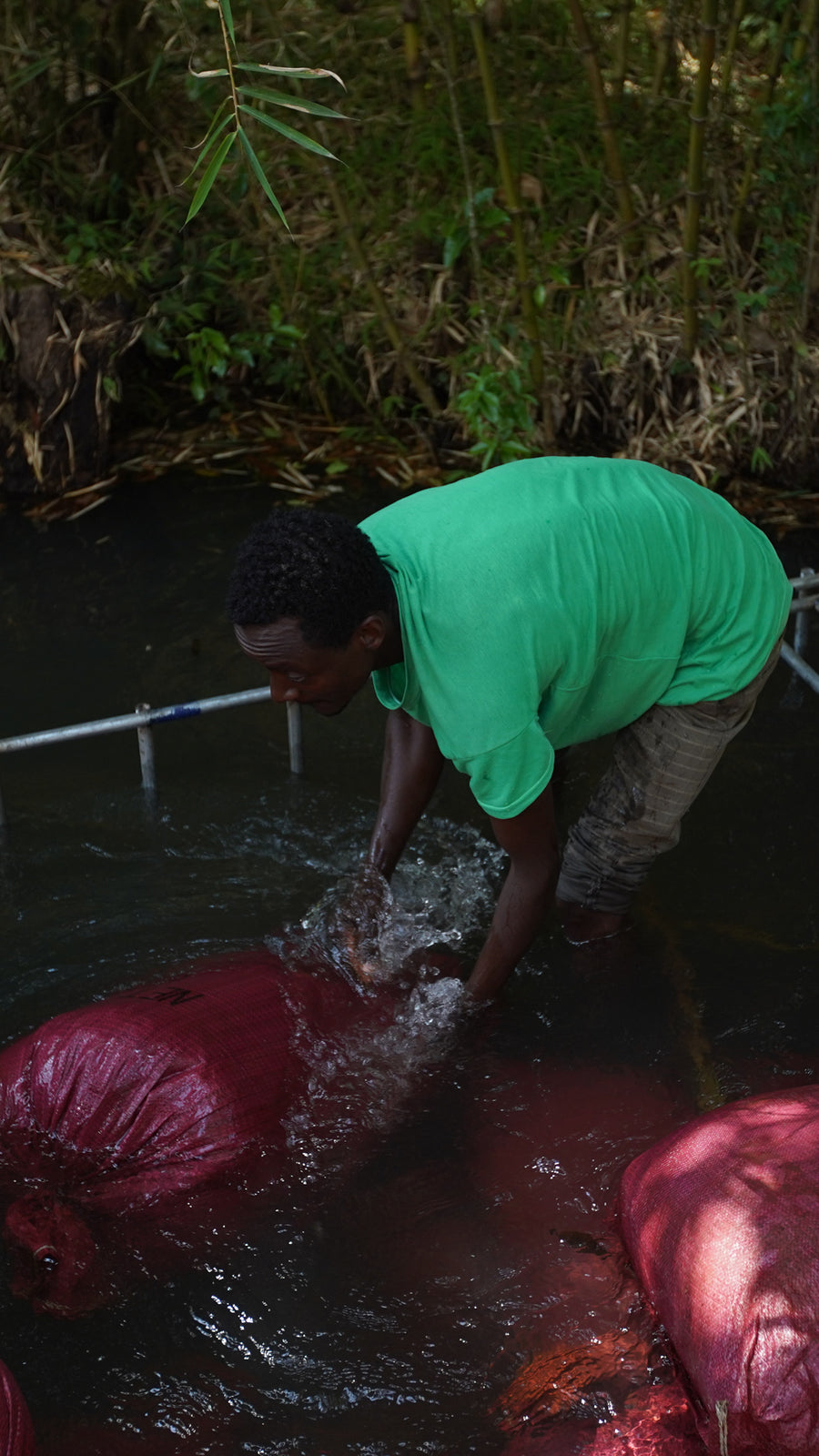 Ethiopia - Elto - Elora Station River Flow Honey CF5 | Archers Coffee